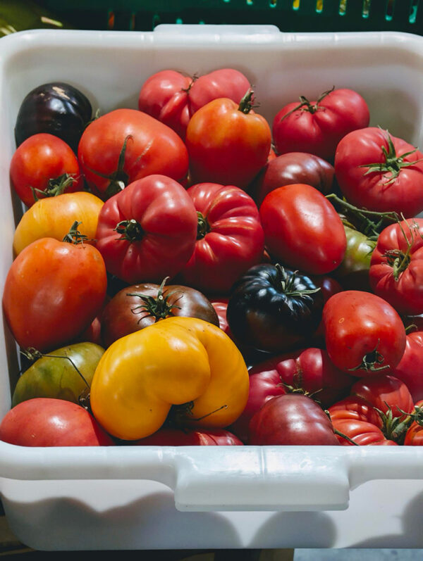 Give! | Whole Foods Co-op