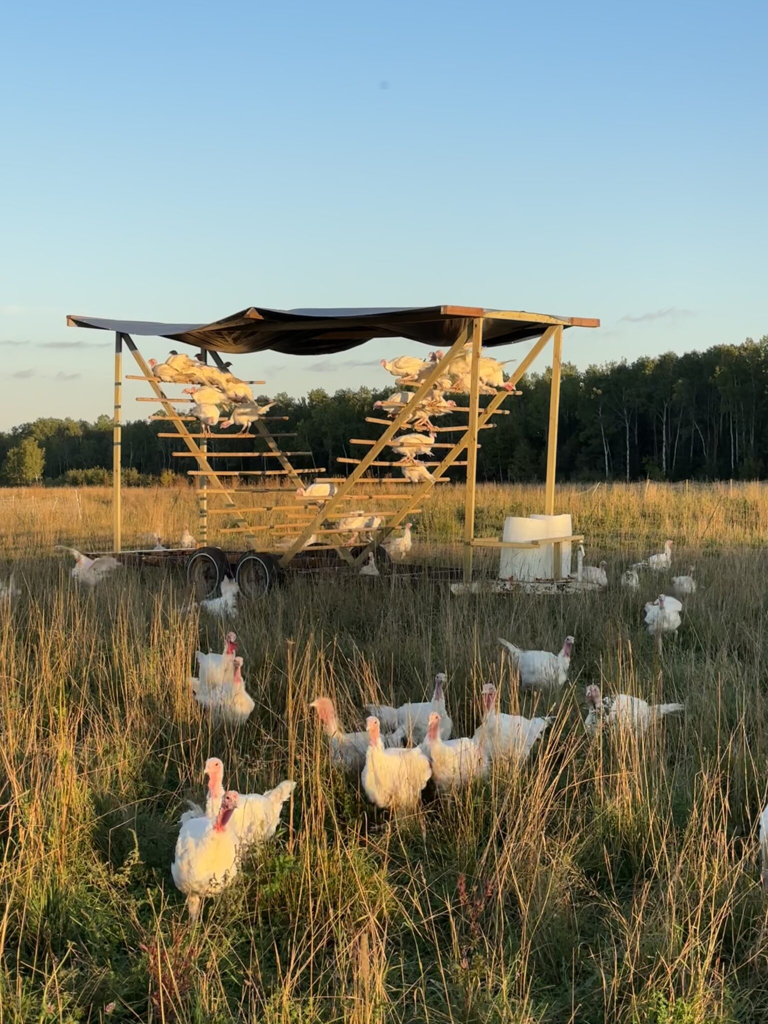 Stay in Touch | Whole Foods Co-op